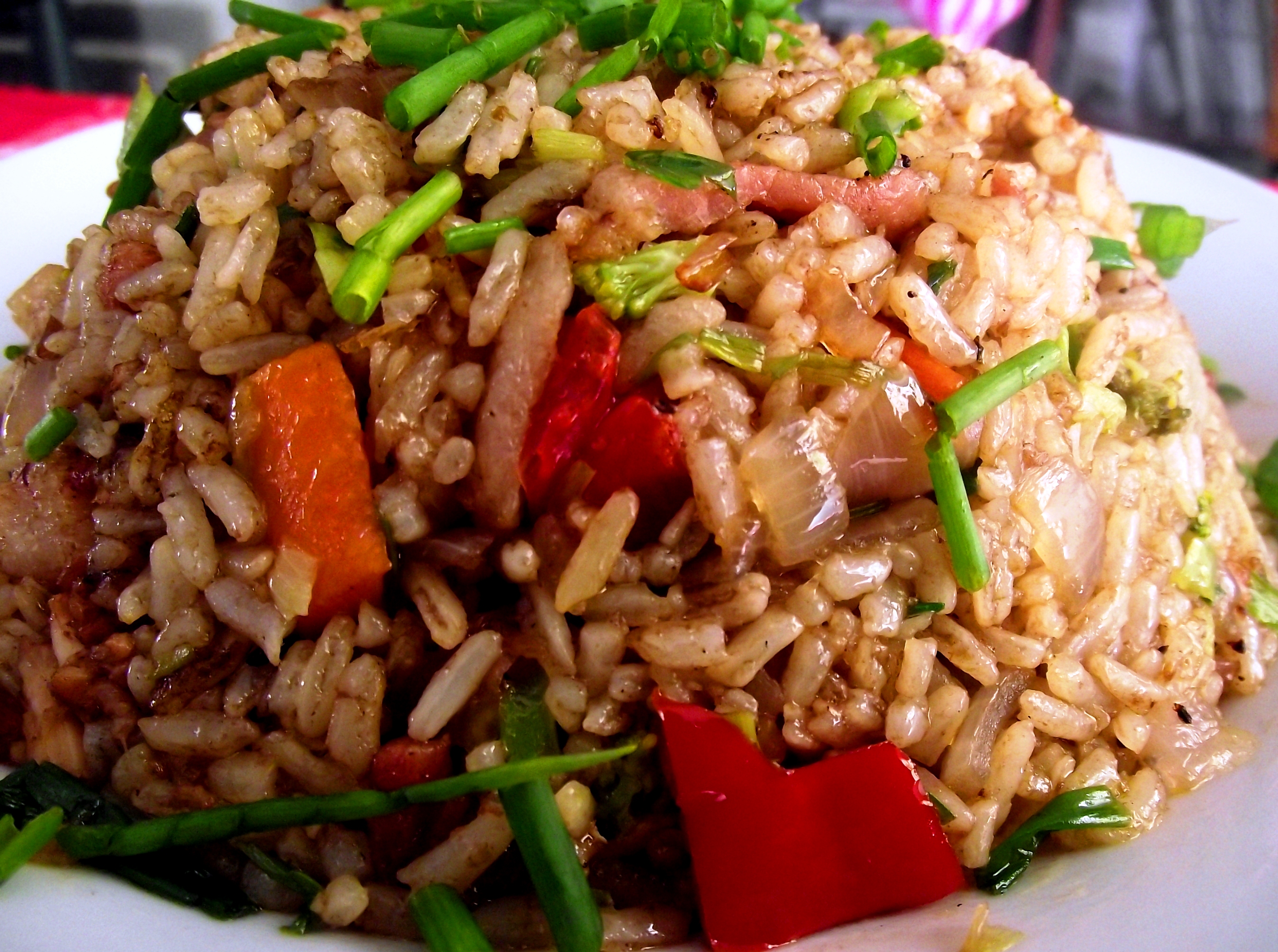 ¡Chow fan! – elfogoncito.net
